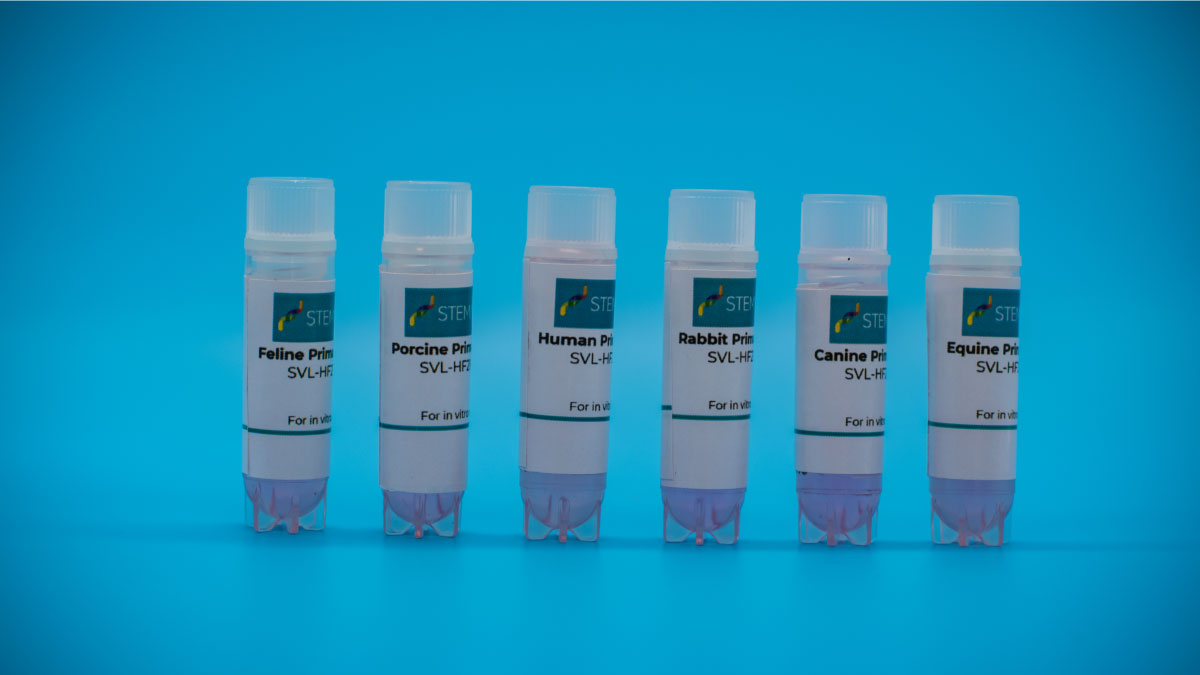 Primary Cells Animal | Stemnovate